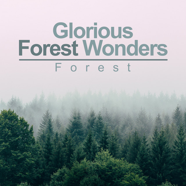 Glorious Forest Wonders - Album by Forest | Spotify