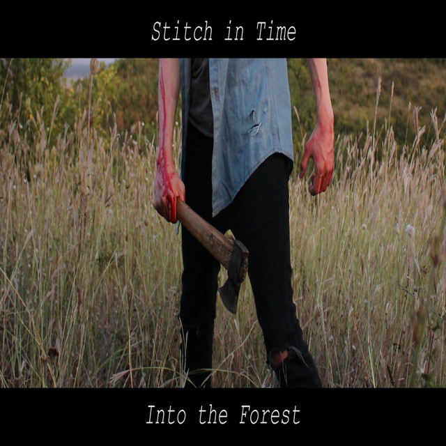 Into the Forest - Album by Catalin Croitoru | Spotify