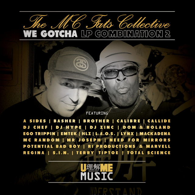 We Gotcha LP Combination 2 - Compilation by Various Artists | Spotify