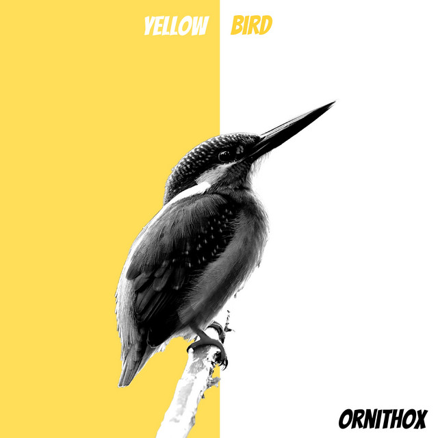 Yellow Bird - Album by Ornithox | Spotify