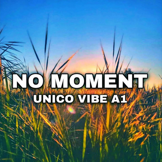 No Moment - Single by Unico Vibe A1 | Spotify