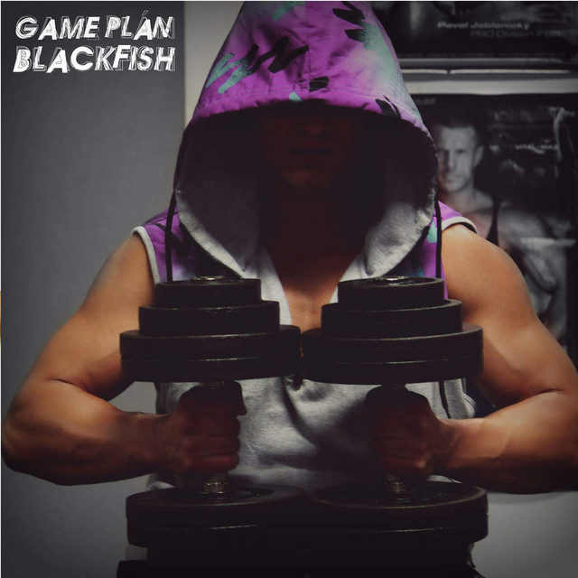 Game plán - Single by Blackfish | Spotify