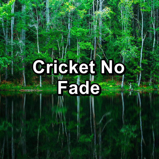 Nature Outside Cricket Sound - song and lyrics by Sleep Crickets ...
