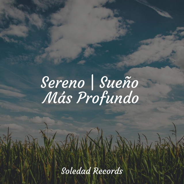 Sereno | Sueño Más Profundo - Album by Academia de Música con Sonidos ...