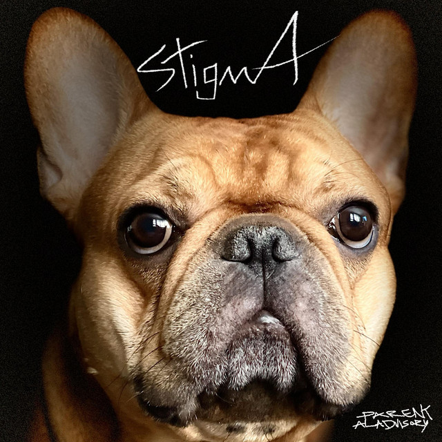 stigma - Album by stig bink | Spotify