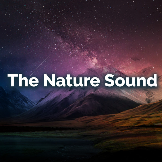The Nature Sound ! ! ! ! - Album by Nature & Sounds Backgrounds | Spotify