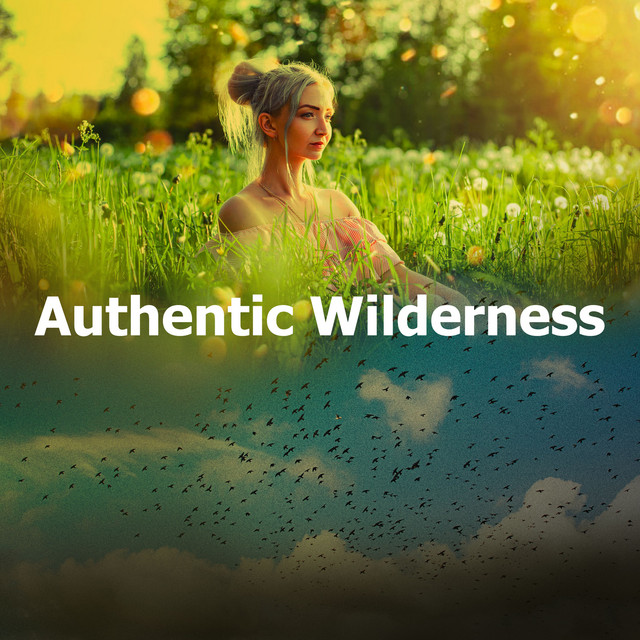 Authentic Wilderness - Album by Sound of the Wilderness | Spotify