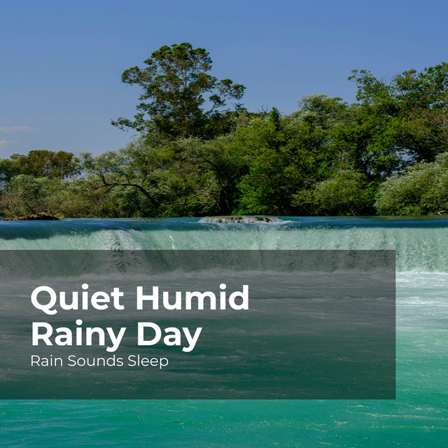 Quiet Humid Rainy Day - Album by Rain Sounds Sleep | Spotify