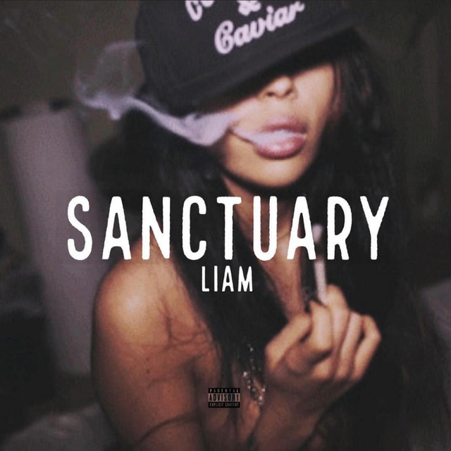 Sanctuary - Single by Liam the Brand | Spotify