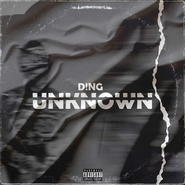 Unknown - song and lyrics by D!NG | Spotify