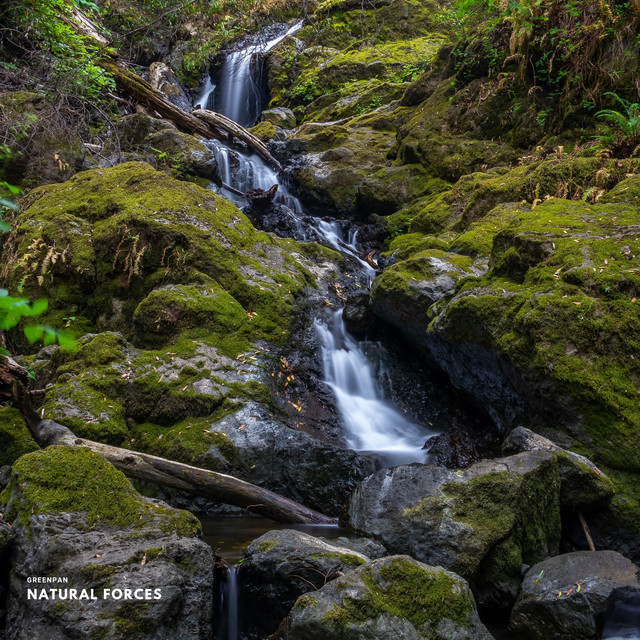 Natural Forces - Album by Greenpan | Spotify
