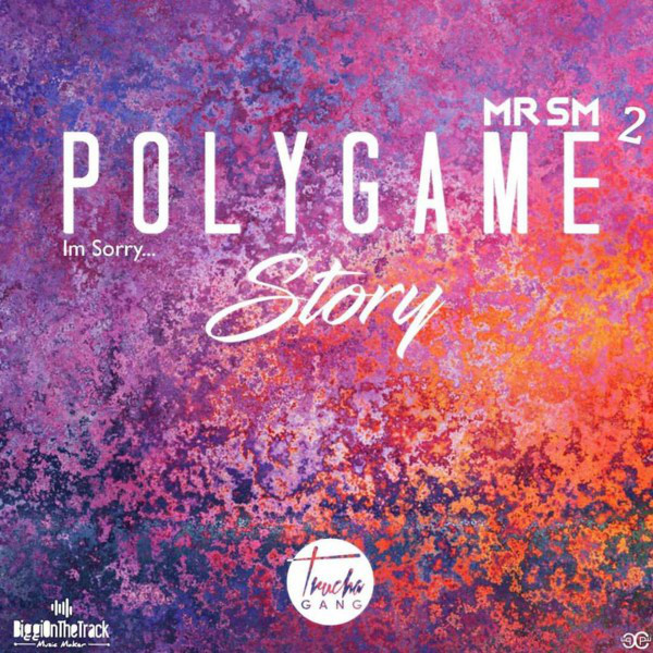 Polygame Story 2 - Single by MrSM | Spotify