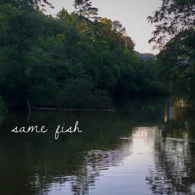 same fish - Single by Anna Shinholster | Spotify