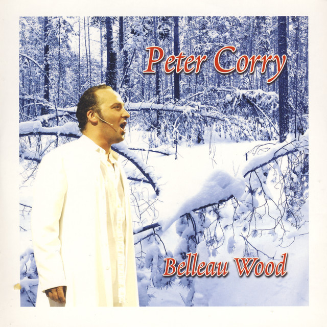 Peter Corry: Songs list, genres, analysis and similar artists - Chosic
