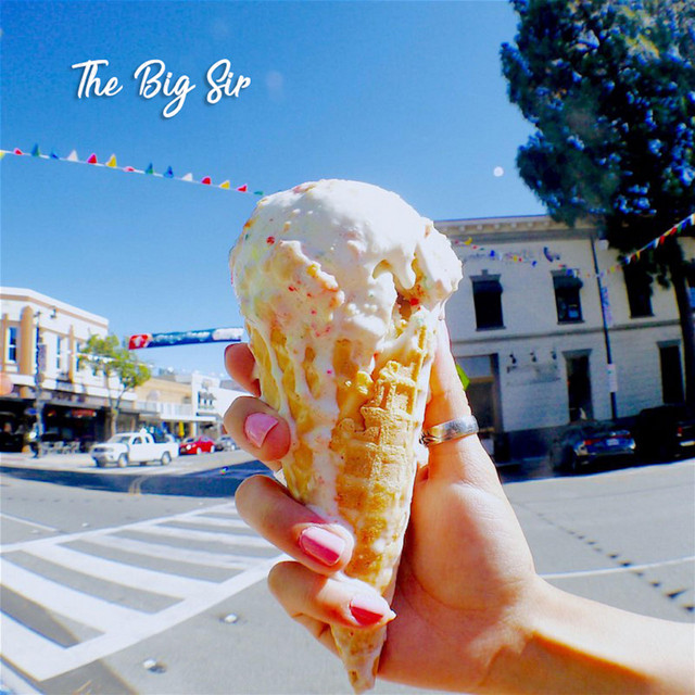 The Big Sir - Album by The Big Sir | Spotify