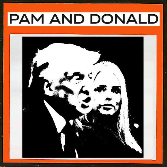 Pam and Donald - Single by Conor Ryan Hennessy | Spotify
