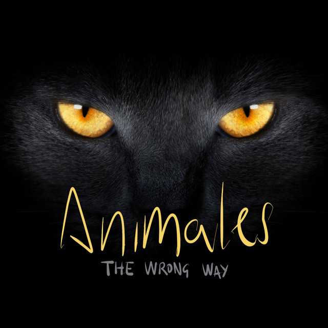 BPM and key for songs by The Wrong Way | Tempo for The Wrong Way songs ...