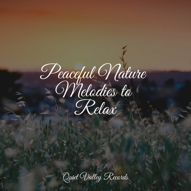 Peaceful Nature Melodies to Relax - Album by Massage Therapy Music ...