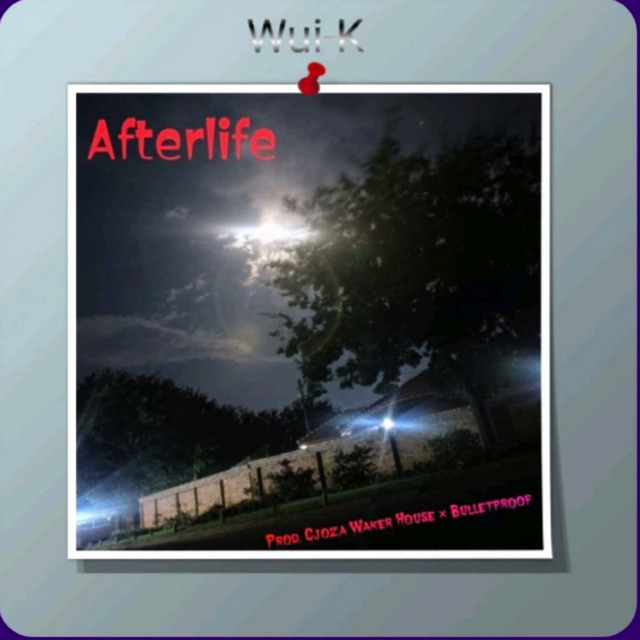 Afterlife - Single by Wui-K | Spotify