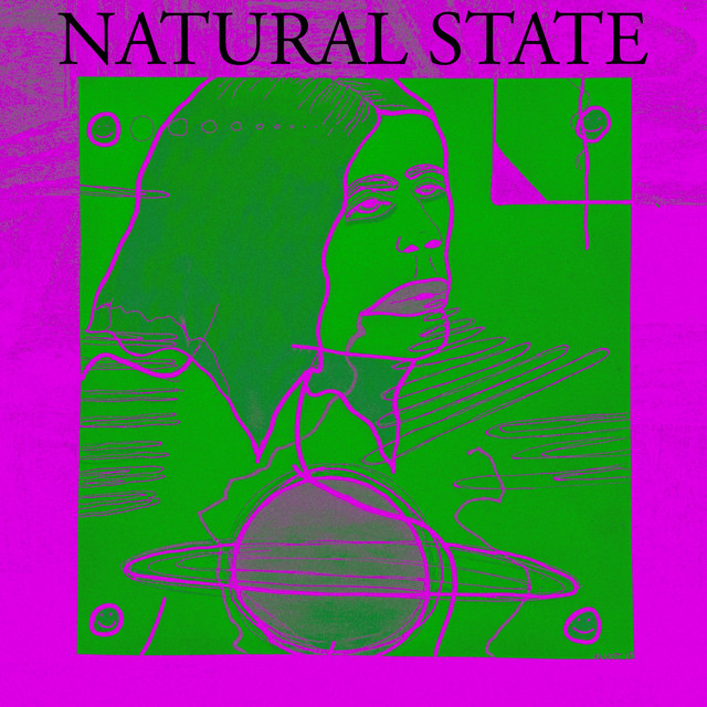 Disguise - Album by Natural State | Spotify
