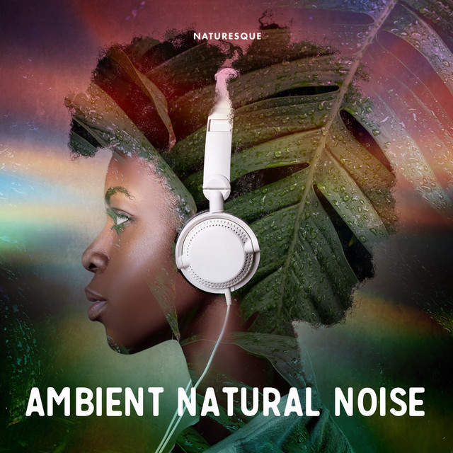 Ambient Natural Noise - Album by Naturesque | Spotify