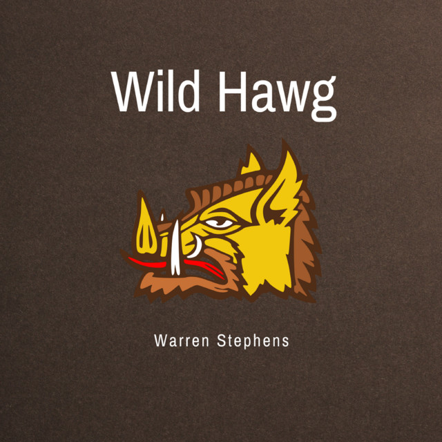 Wild Hawg - Single by Warren Stephens | Spotify