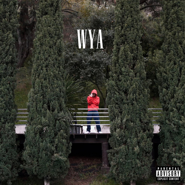 WYA - Single by Osibih | Spotify