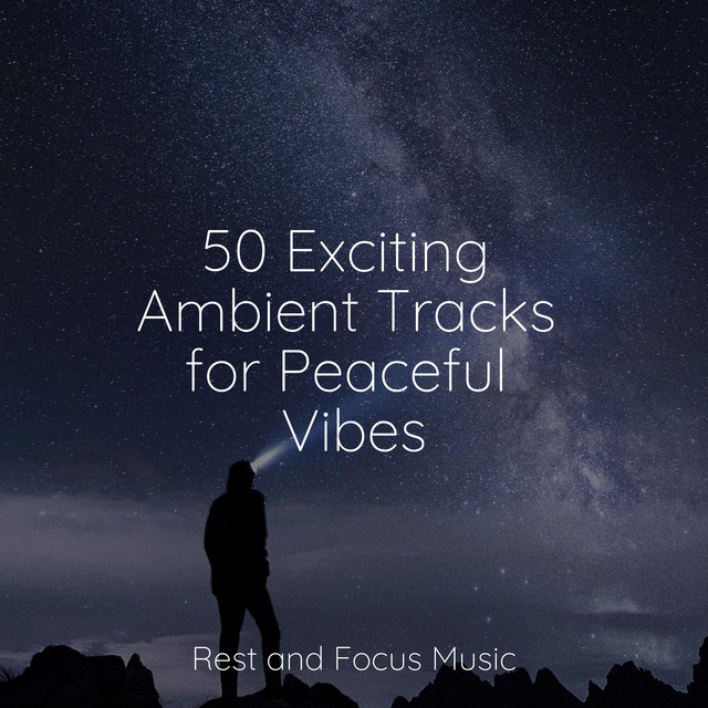 50 Exciting Ambient Tracks for Peaceful Vibes - Album by Meditation ...