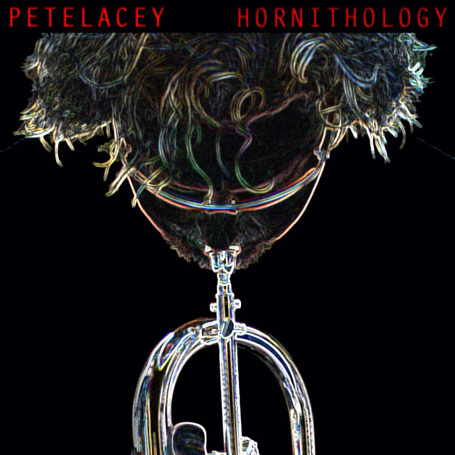 Hornithology – Album de Pete Lacey | Spotify