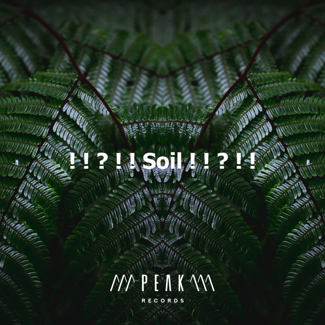 Soil ! ! ? ! ! - Album by Nature Sounds Artists | Spotify