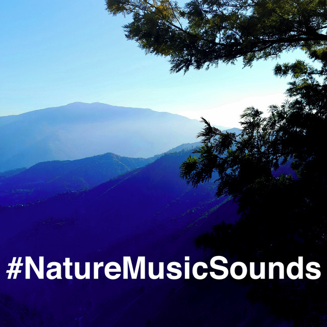 #NatureMusicSounds - Album by Nature Sounds Nature Music | Spotify