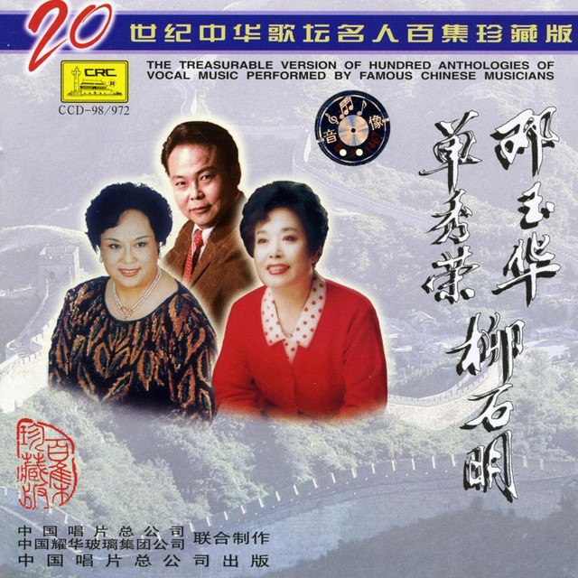 My Youth Flew Away Like a Bird (Wo De Qing Chun Xiao Niao Yi Yang Bu ...