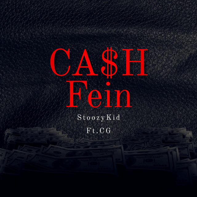 Cash Fein - Single by Stoozykid | Spotify
