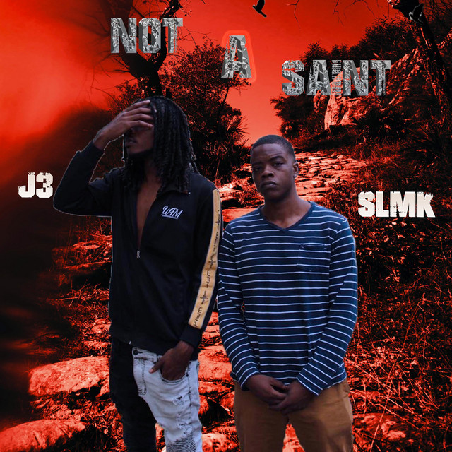 Not a Saint - Single by Slmk | Spotify