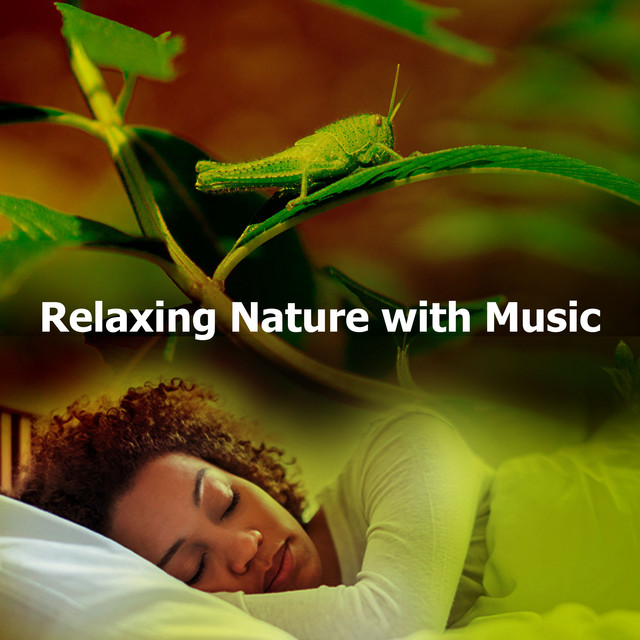 Relaxing Nature with Music - Album by Relaxing Nature Music | Spotify