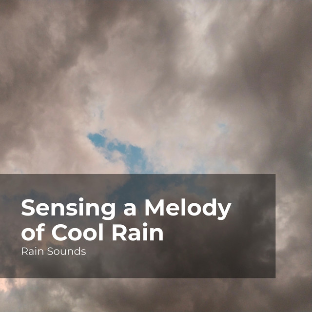 Sensing a Melody of Cool Rain - Album by Rain Sounds | Spotify