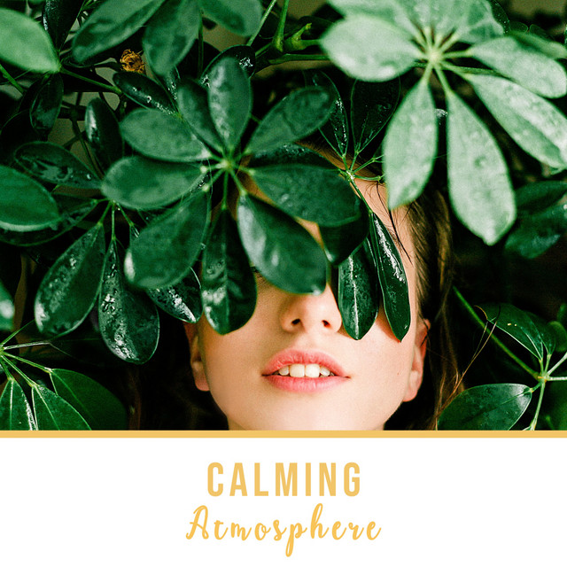 # 1 Album: Calming Atmosphere - Compilation by Various Artists | Spotify