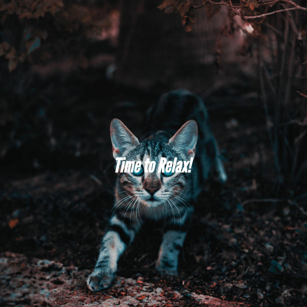 Time to Relax! - Album by Saturday Morning Relaxation Vibes | Spotify