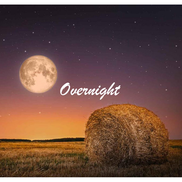 Overnight - song and lyrics by Bee | Spotify