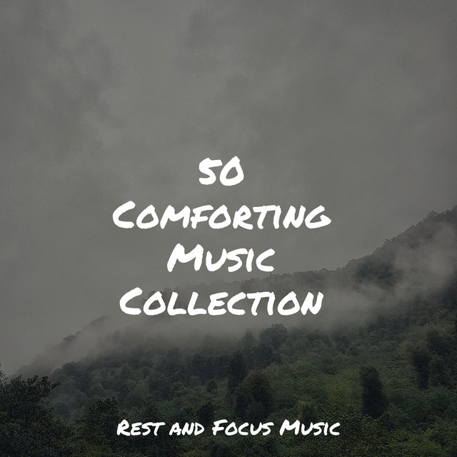 50 Comforting Music Collection - Album by Mindfulness Meditation ...
