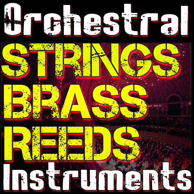 Music Loops, Orchestral Strings, Brass, and Reeds - Album by Classical ...