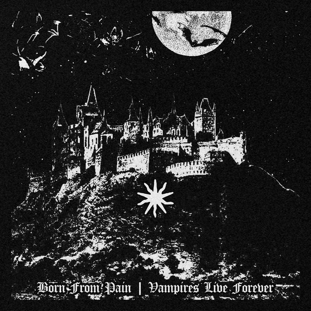 Vampires Live Forever - Single by Born From Pain | Spotify