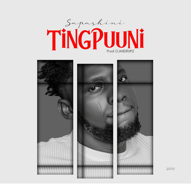 Tingpuuni - song and lyrics by Sapashini | Spotify