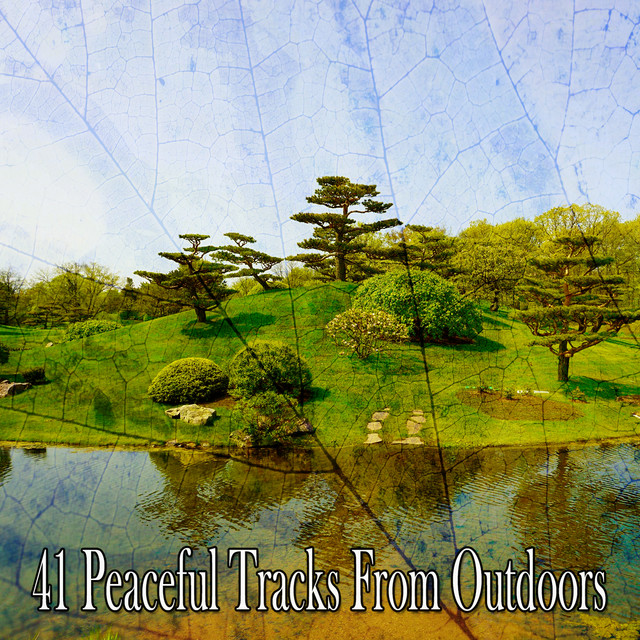 41 Peaceful Tracks From Outdoors - Album by Kundalini: Yoga, Meditation ...