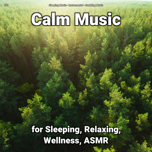#01 Calm Music for Sleeping, Relaxing, Wellness, ASMR - Album de ...