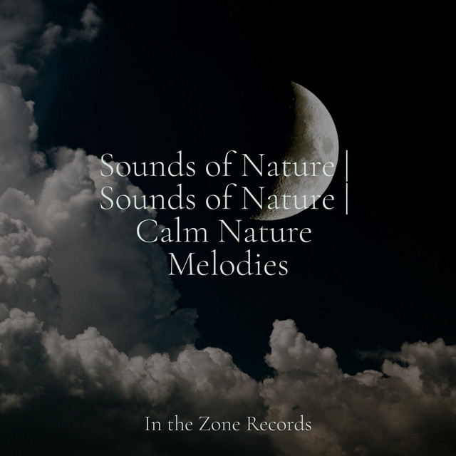 Sounds of Nature | Sounds of Nature | Calm Nature Melodies - Album by ...