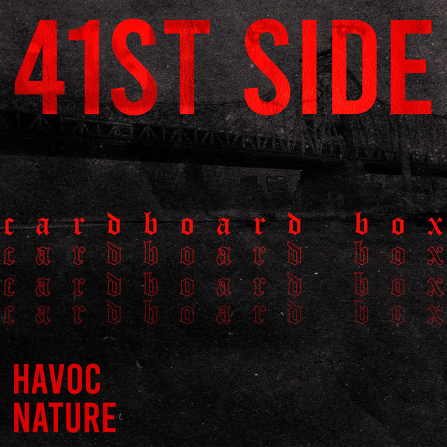 Cardboard Box Remix - Single by Havoc | Spotify