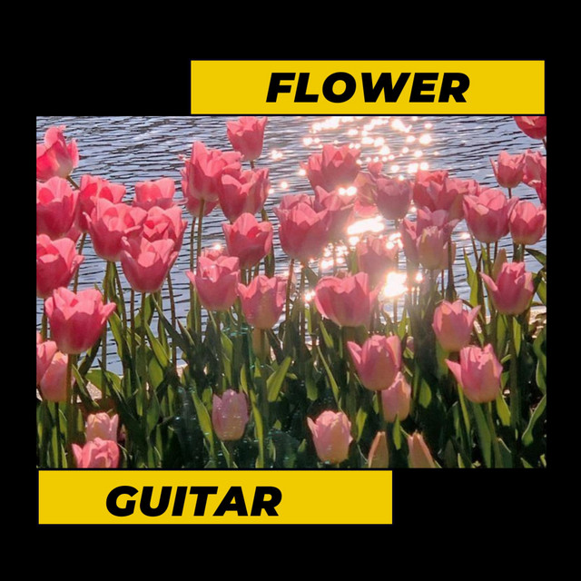 Flower Guitar - Album by Hamu Beats | Spotify