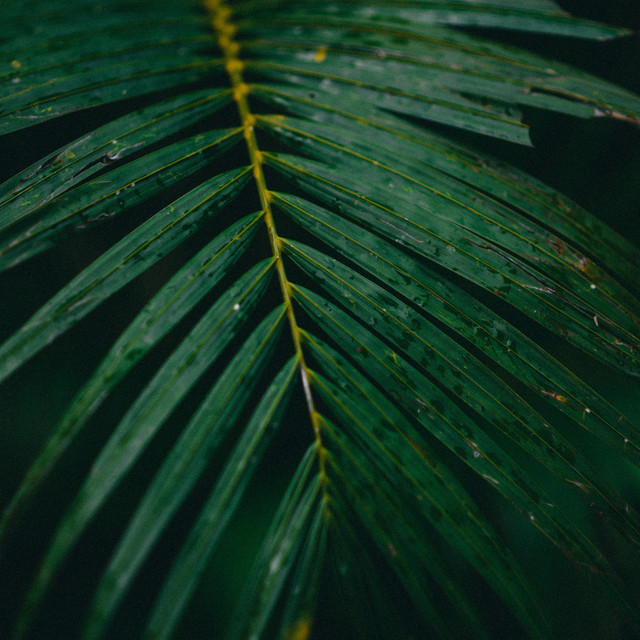 Arthur Hulse | Spotify