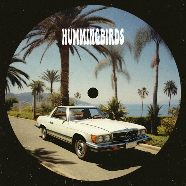 Hummingbirds - Single by Strehlow | Spotify